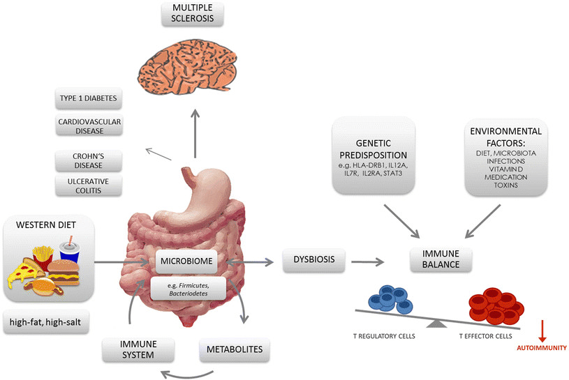 SIBO And Gut Health Nexus - Gina B. Healthy